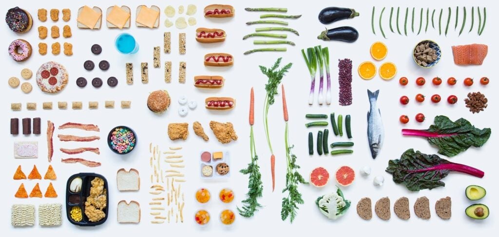 Obesity | Harvard T.H. Chan School of Public Health