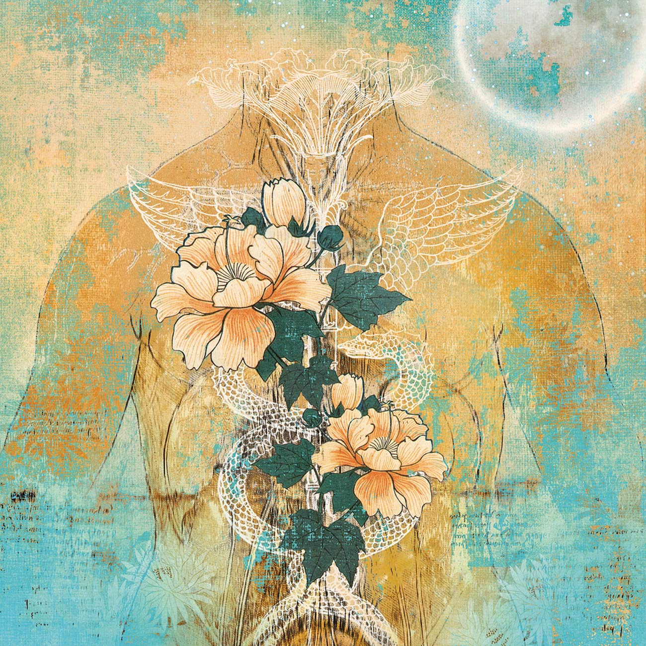 The Cancer Miracle Isn't a Cure. It's Prevention. | Harvard T.H. Chan ...