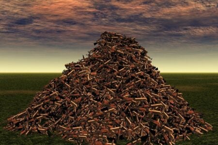 Why there’s so much gun violence in the U.S.—and what to do about it ...