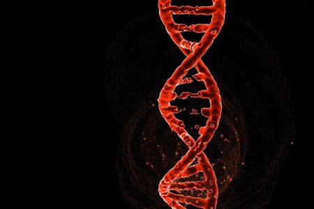 Xihong Lin | Harvard T.H. Chan School of Public Health