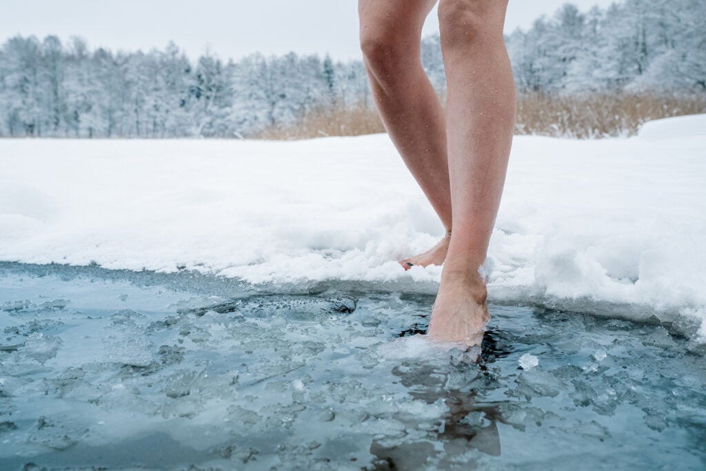 A dive into cold water | Harvard T.H. Chan School of Public Health