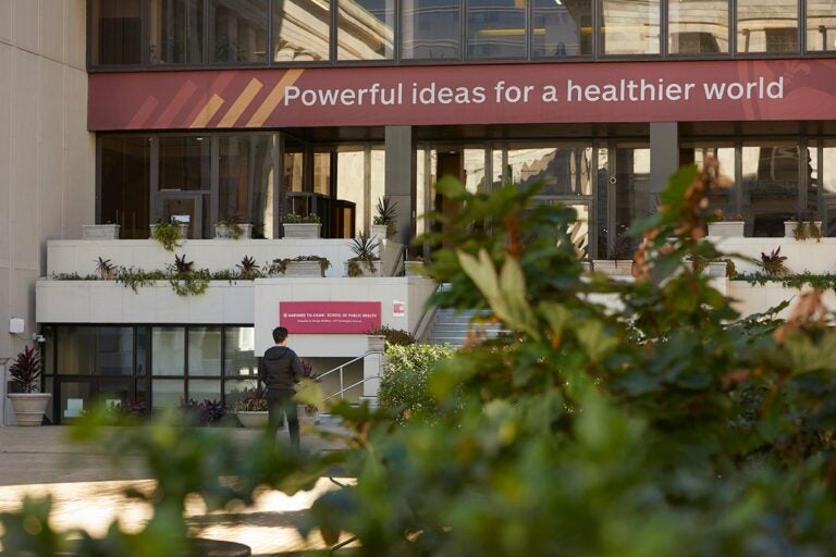 Explaining the endowment | Harvard T.H. Chan School of Public Health
