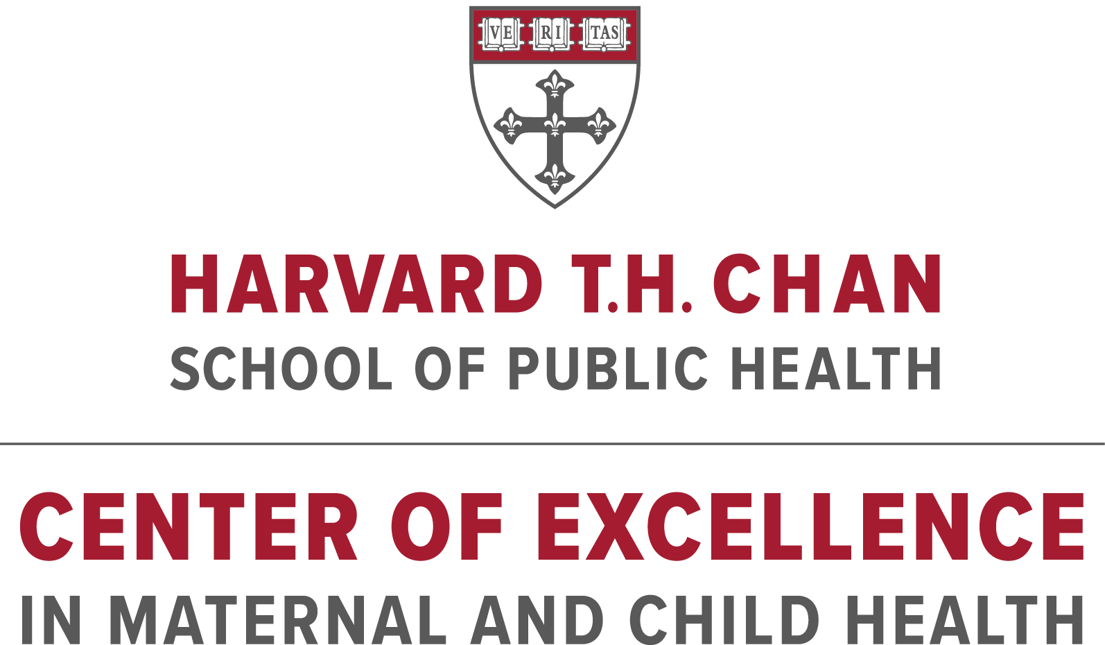 Maternal and Child Health Center of Excellence | Harvard T.H. Chan ...