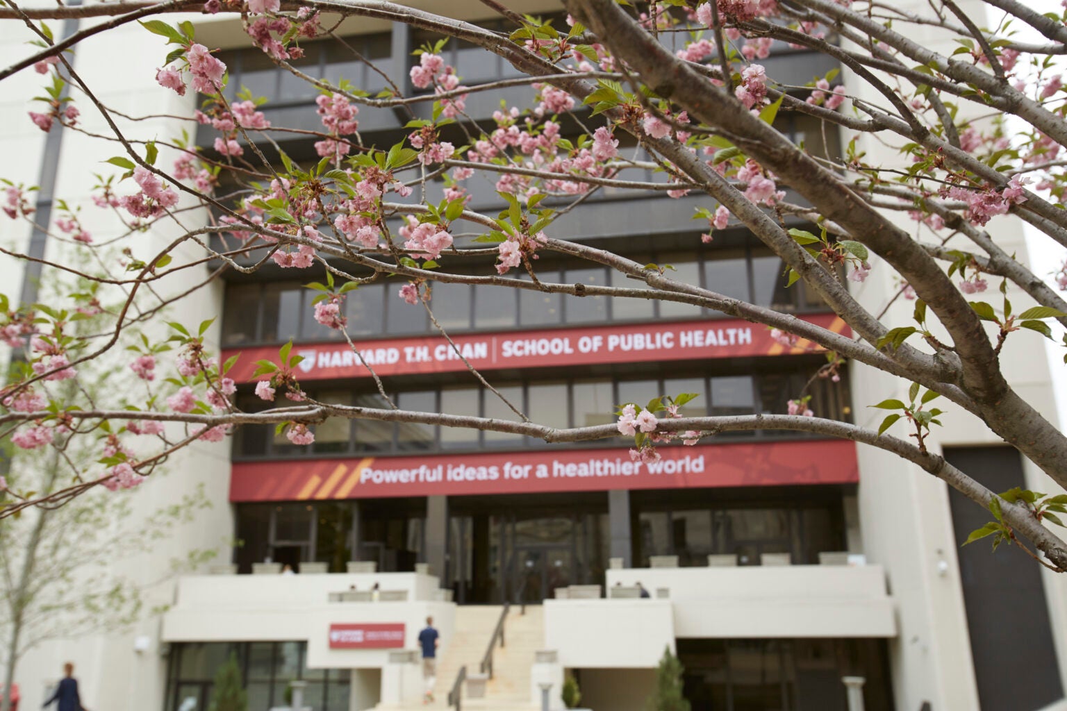 Human Resources | Harvard T.H. Chan School of Public Health