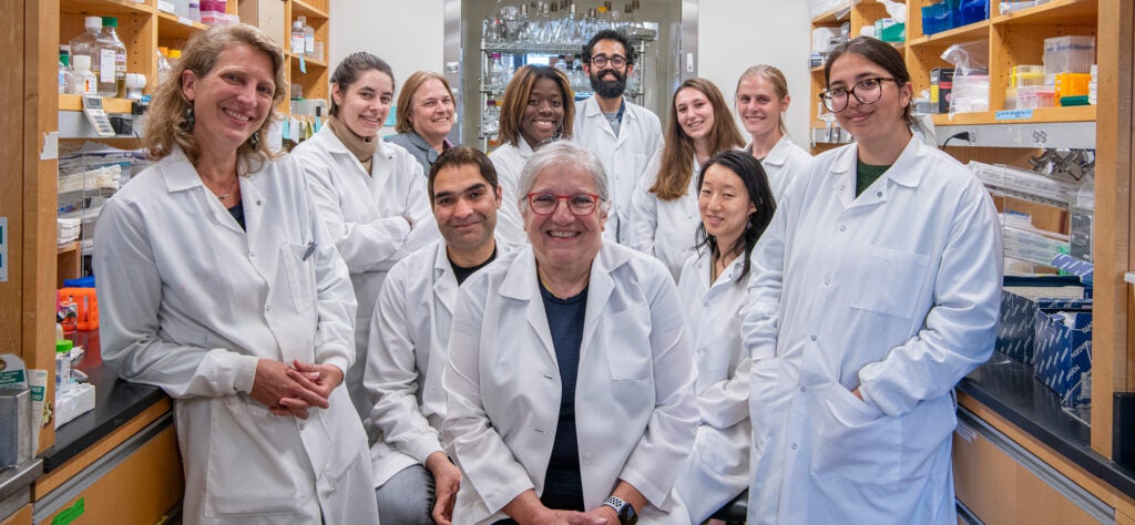 Wirth Lab | Harvard T.H. Chan School of Public Health