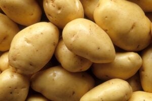 Are potatoes a healthy vegetable? | Harvard T.H. Chan School of Public ...