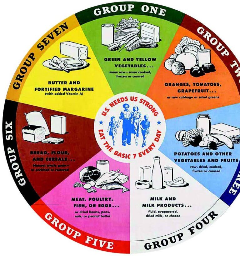 A visual history of food guides | Harvard T.H. Chan School of Public Health