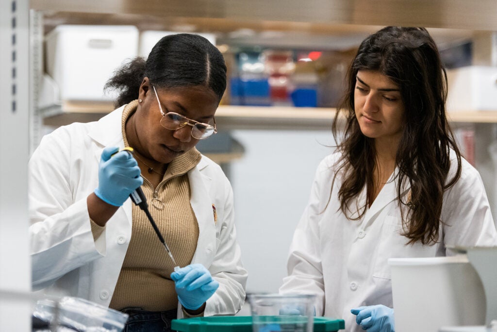 Fortune Lab | Harvard T.H. Chan School of Public Health