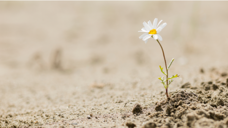 Resilience Measurement | Lee Kum Sheung Center for Health and Happiness ...