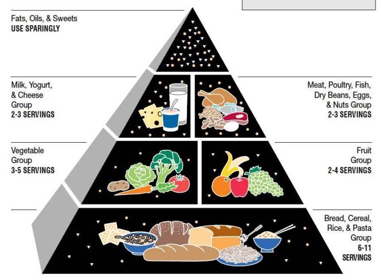 A visual history of food guides | Harvard T.H. Chan School of Public Health