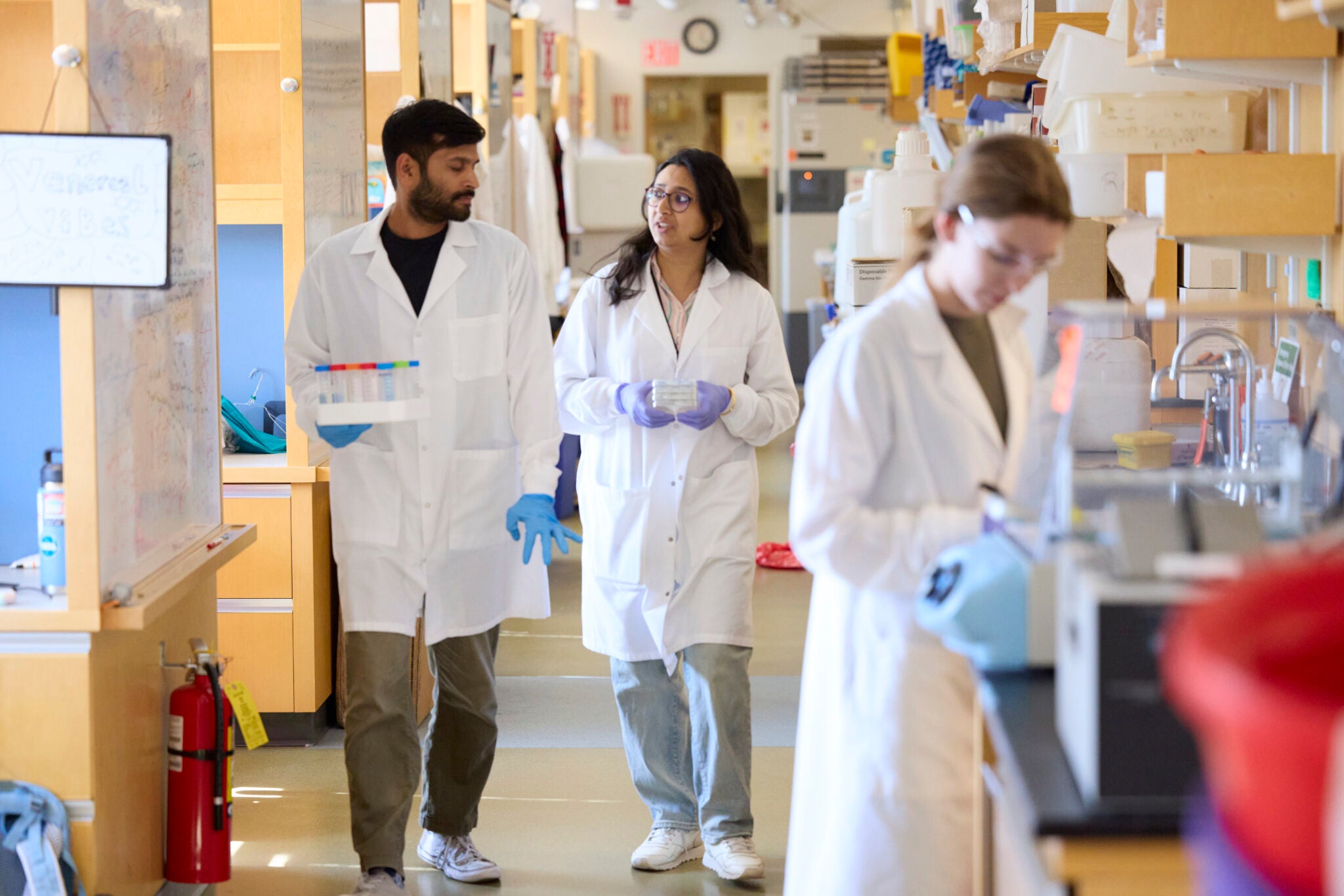 Center for Communicable Disease Dynamics | Harvard T.H. Chan School of ...