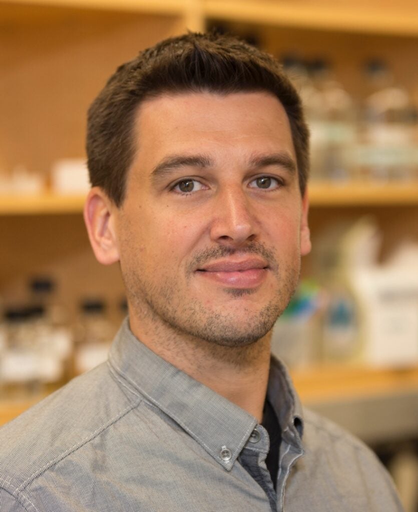 Faculty | Department of Molecular Metabolism | Harvard T.H. Chan School ...