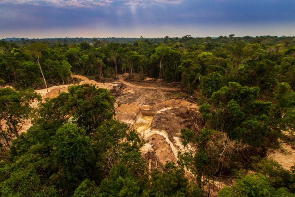 Malaria transmission may increase with deforestation in the Brazilian ...