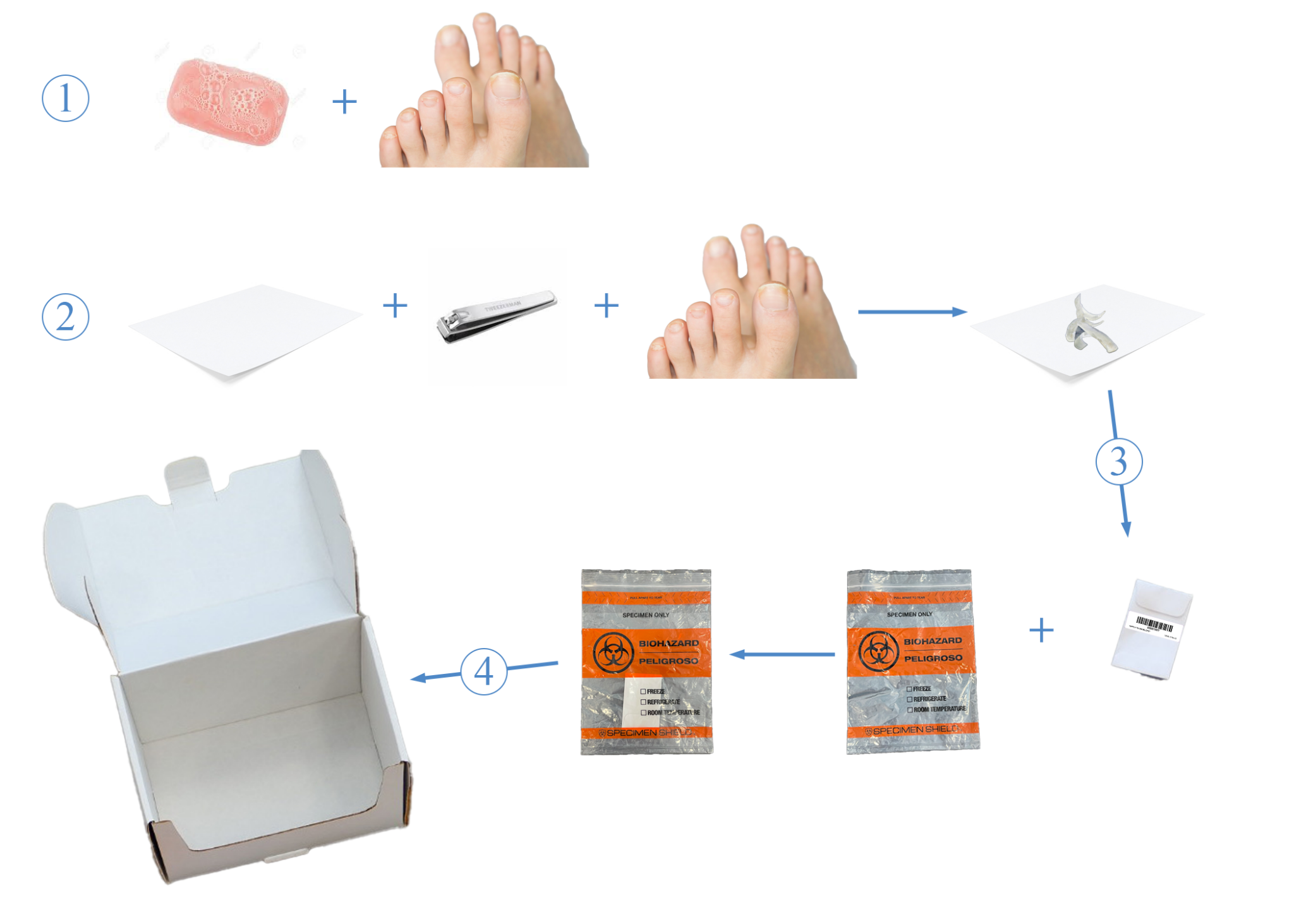 St Louis Baby Tooth Study Phase II: Water Collection Instructions | St ...