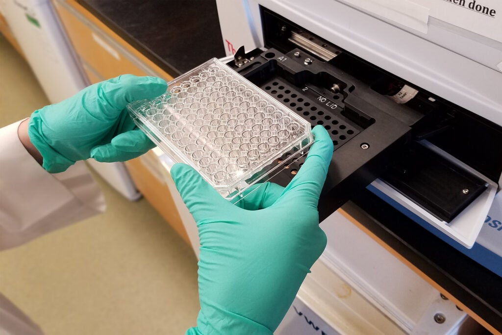 IID Labs and Facilities | Department of Immunology and Infectious ...