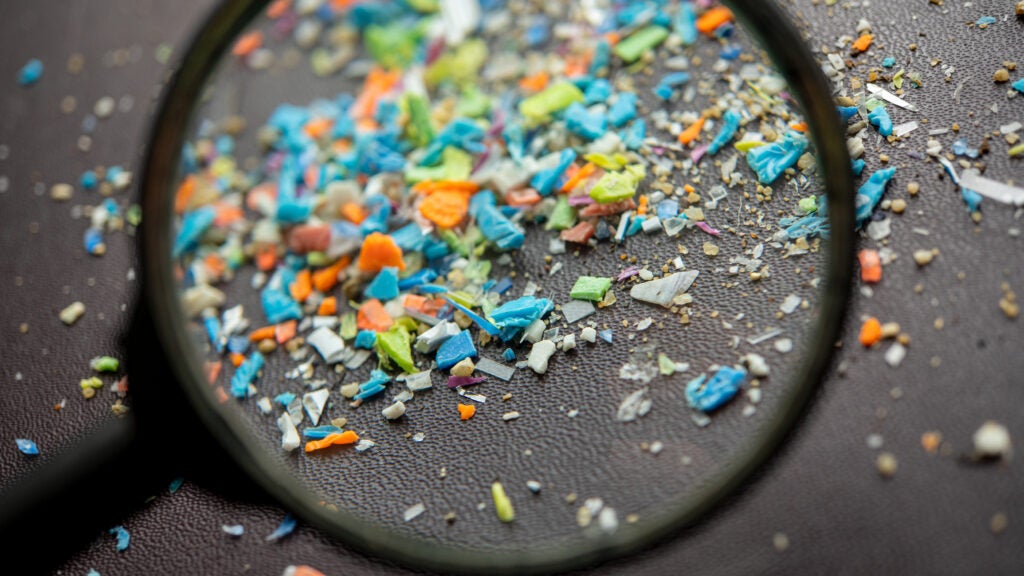Microplastics a growing challenge to health and the environment ...