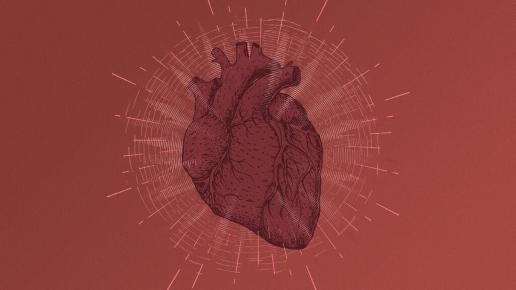 No one-size-fits-all diet for improving longevity | Harvard T.H. Chan ...