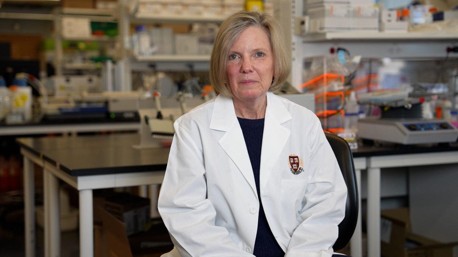 Sarah Fortune | Harvard T.H. Chan School of Public Health
