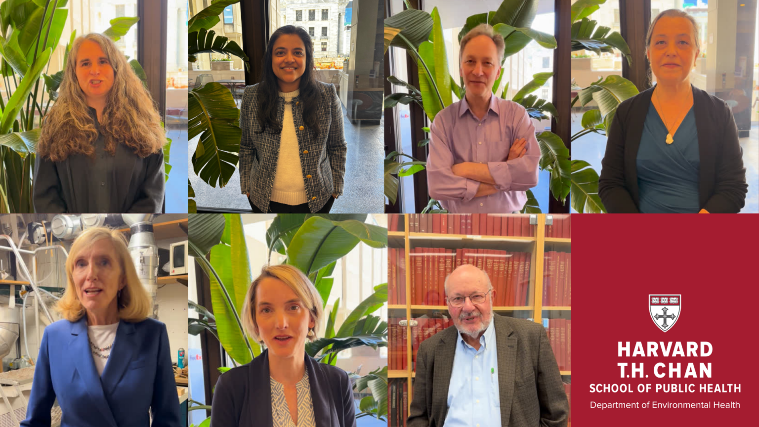 News | Harvard T.H. Chan School of Public Health