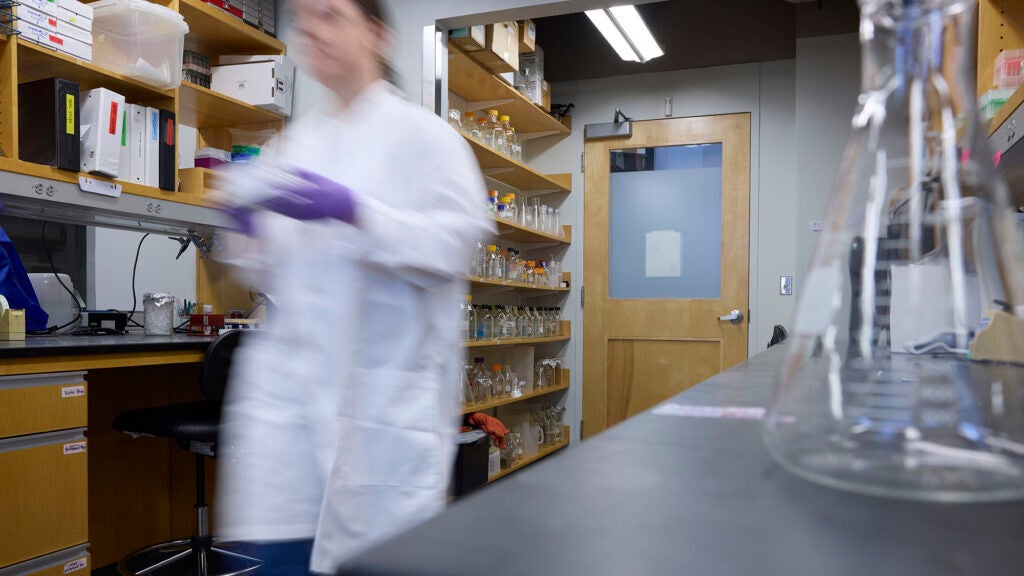 How studying the ‘exposome’ can reveal harmful environmental exposures ...