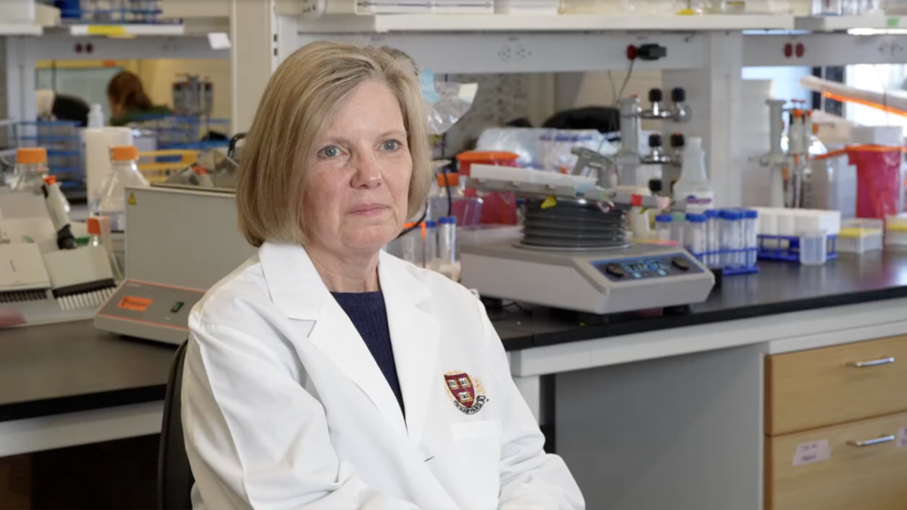 Prominent tuberculosis research program at risk of losing federal funding | Harvard T.H. Chan ...