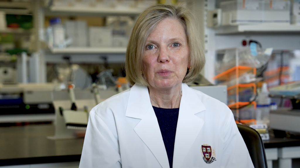 Carnivore diet a ‘terrible idea’ | Harvard T.H. Chan School of Public ...