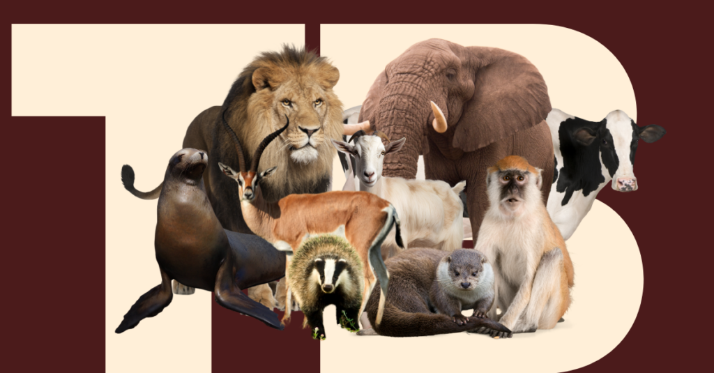 Department of Immunology and Infectious Diseases | Harvard T.H. Chan ...