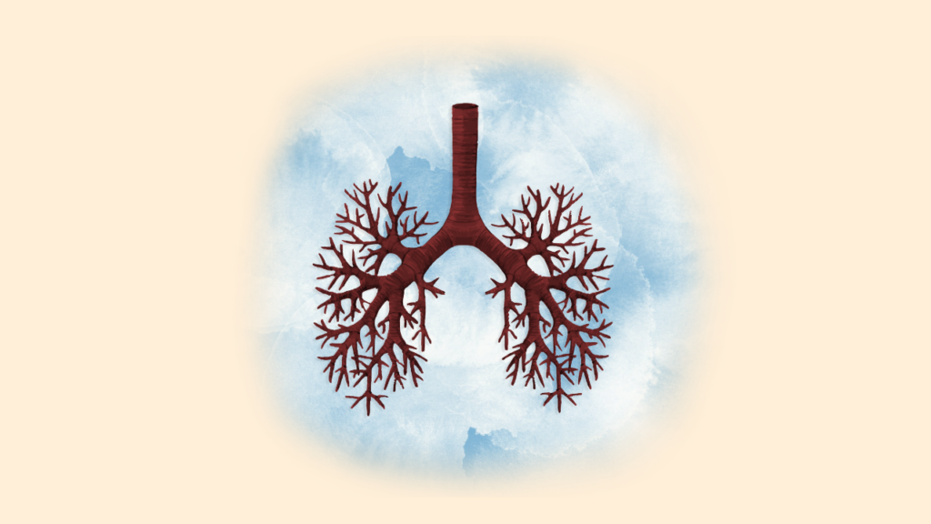 Microplastics a growing challenge to health and the environment | Harvard T.H. Chan School of ...