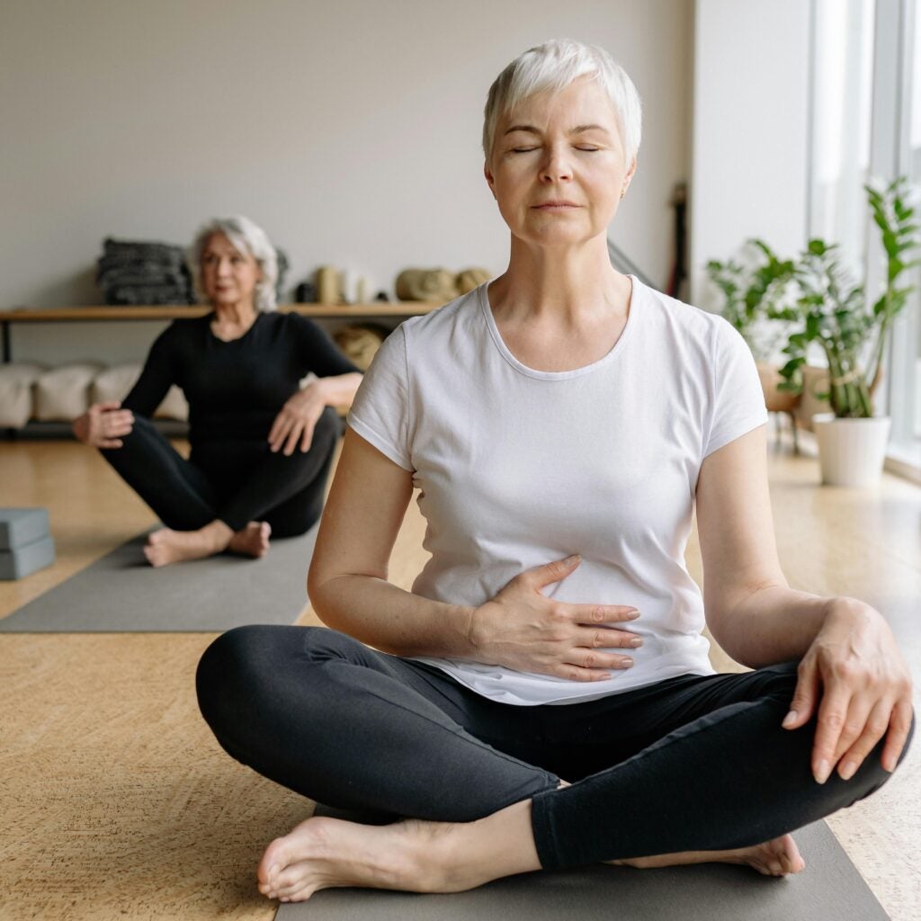 The Healthy Aging Initiative | Harvard T.H. Chan School of Public Health