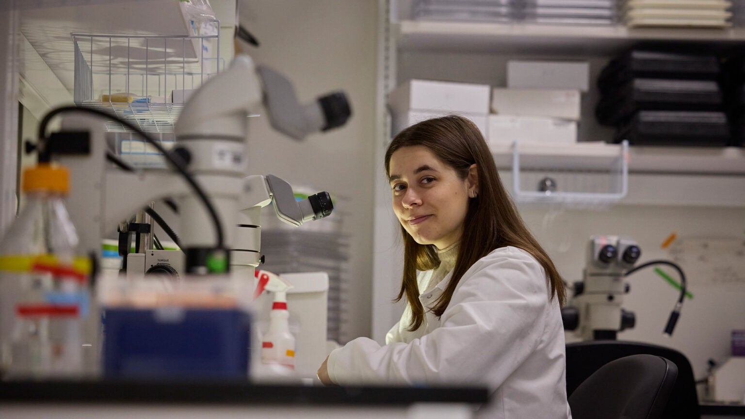 Class of 2025 | Harvard T.H. Chan School of Public Health