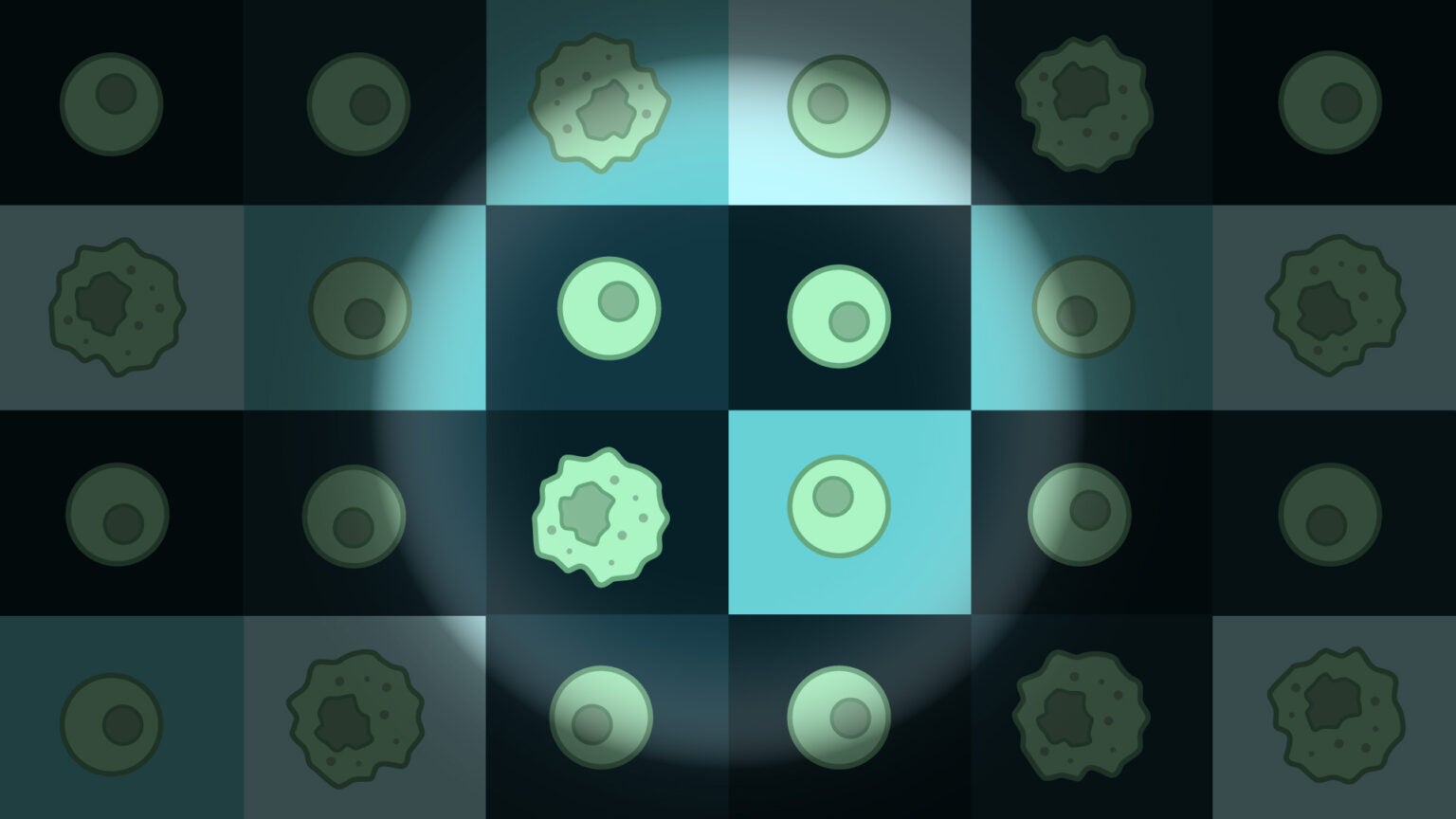 Cell phones don’t cause brain cancer: study | Harvard T.H. Chan School ...