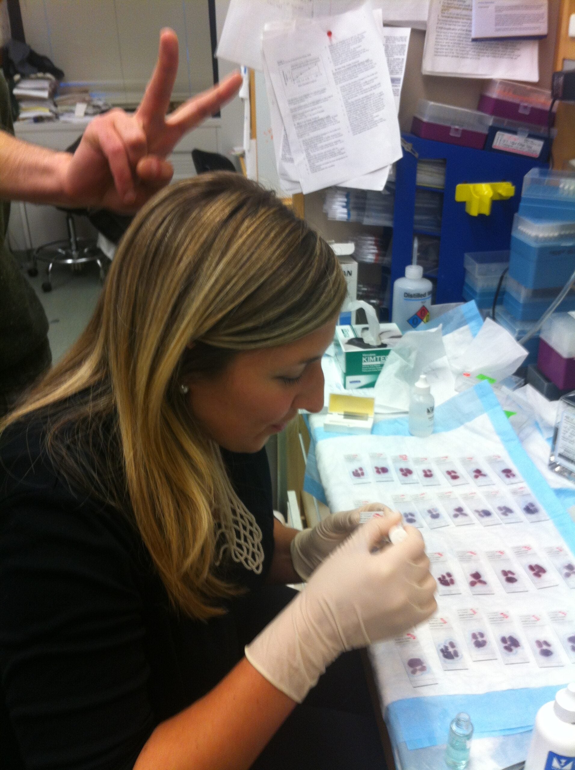 Lab Life | Hotamişlıgıl Lab | Department of Molecular Metabolism | HSPH
