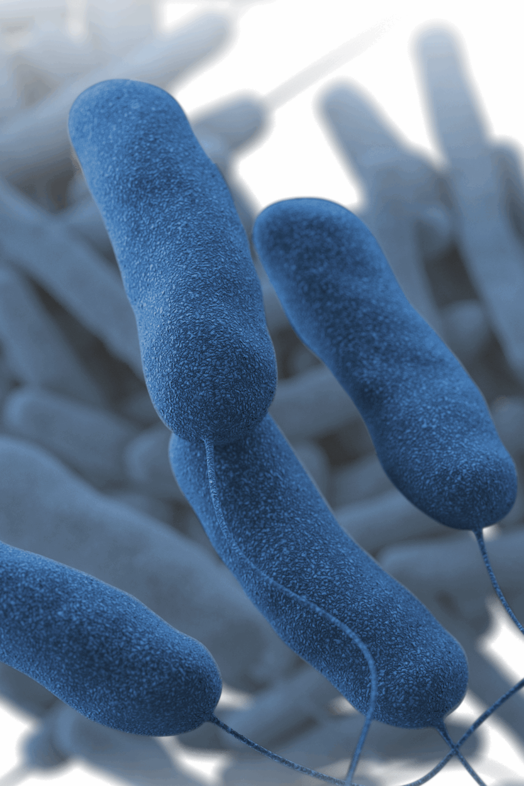 Legionnaires’ disease: ‘Not just a New York City problem’ | Harvard T.H ...