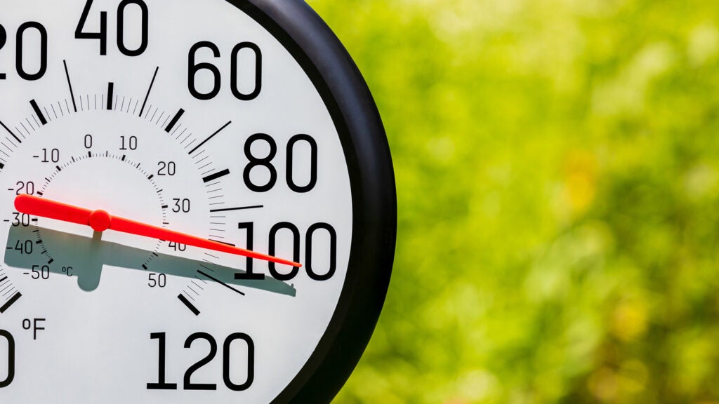 Microplastics a growing challenge to health and the environment | Harvard T.H. Chan School of ...