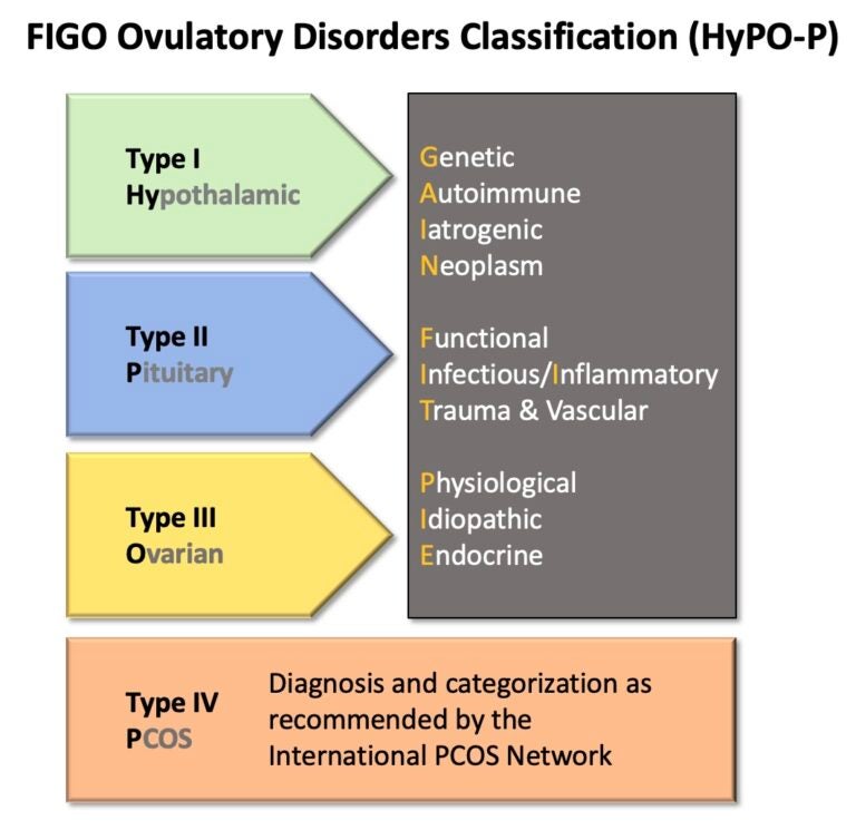 Understanding Ovulation Disorders: Types, Causes, and New Research ...