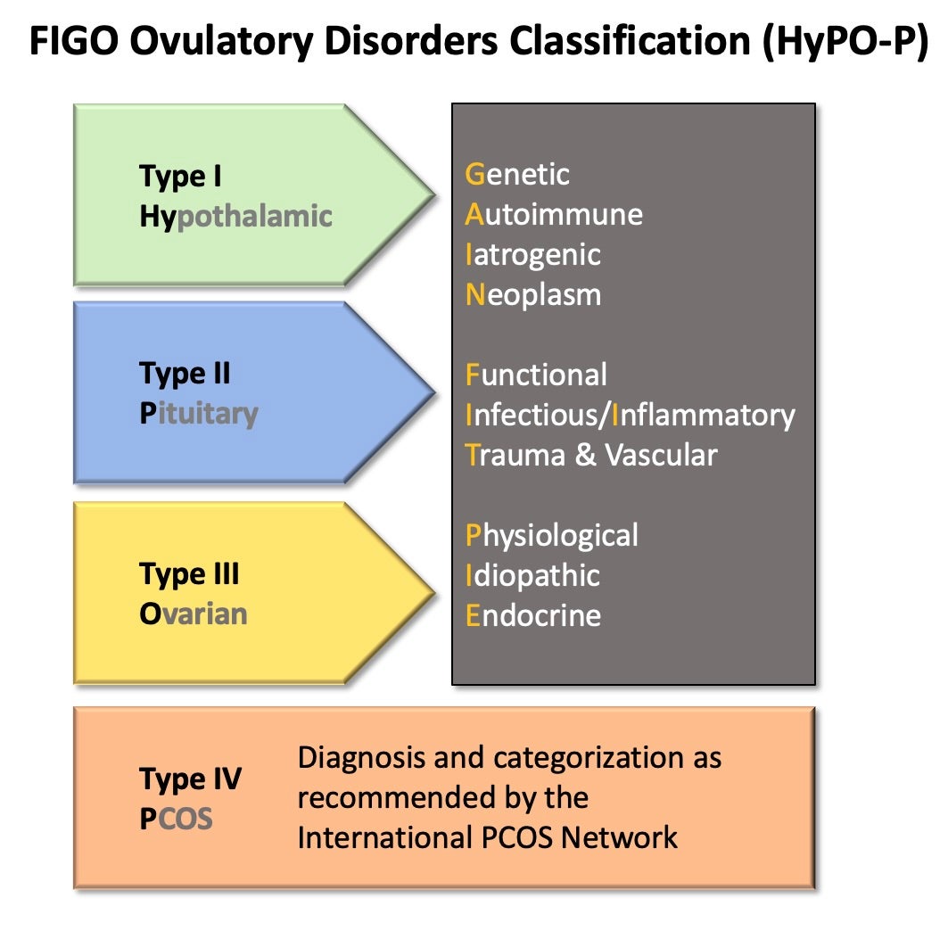 Understanding Ovulation Disorders: Types, Causes, and New Research ...