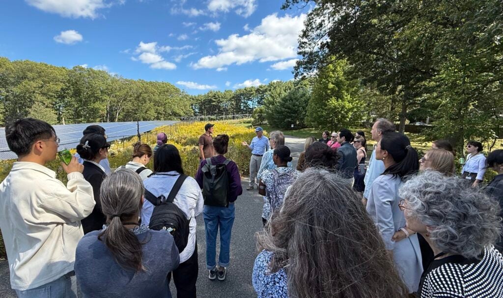Harvard Chan NIEHS Center celebrates Director of Community Engagement ...
