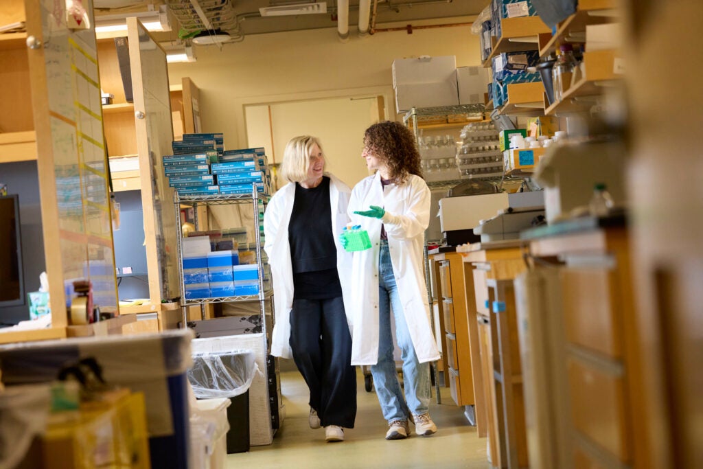 Postdoctoral Training | Department of Immunology and Infectious Diseases | Harvard T.H. Chan ...