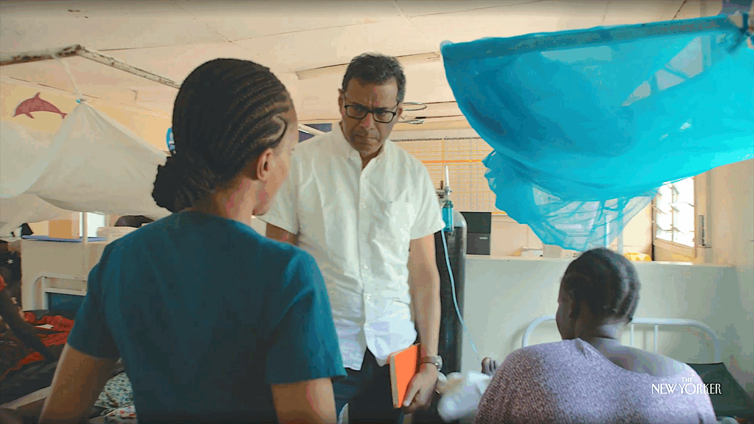 USAID shutdown has led to hundreds of thousands of deaths | Harvard T.H ...