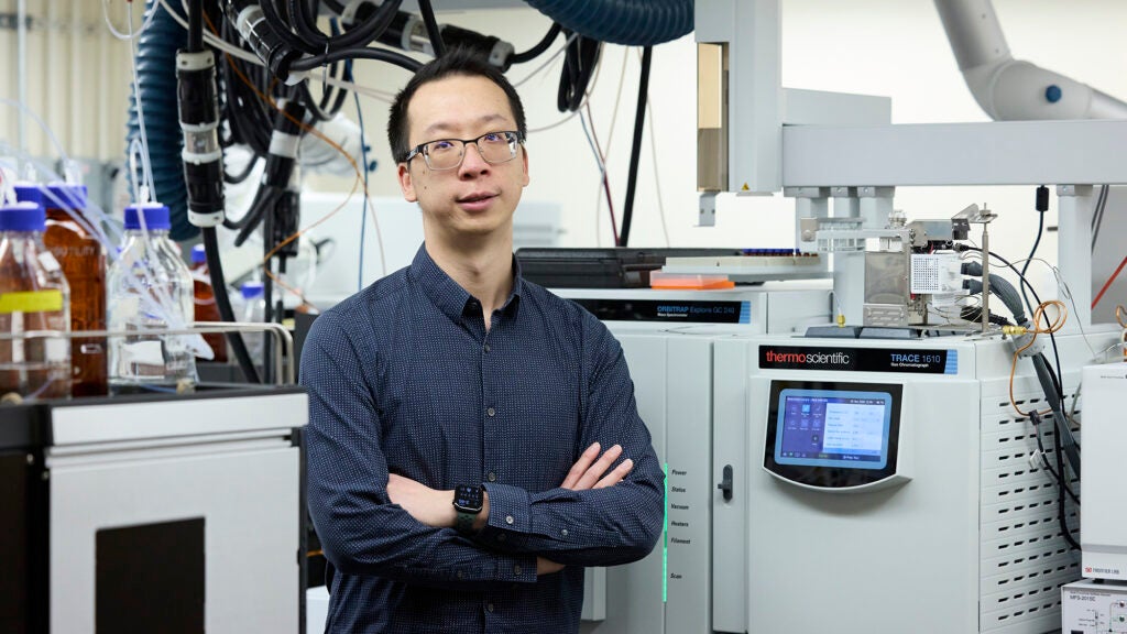 How pollutants interact inside the body to impact health | Harvard T.H ...